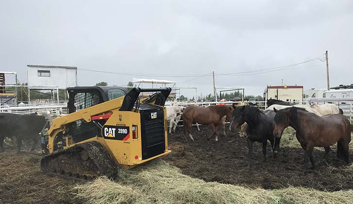 Wrangling Some Community Involvement at the Rodeo | Finning Cat