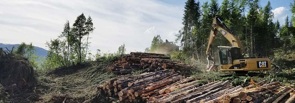 Forestry | Finning Cat